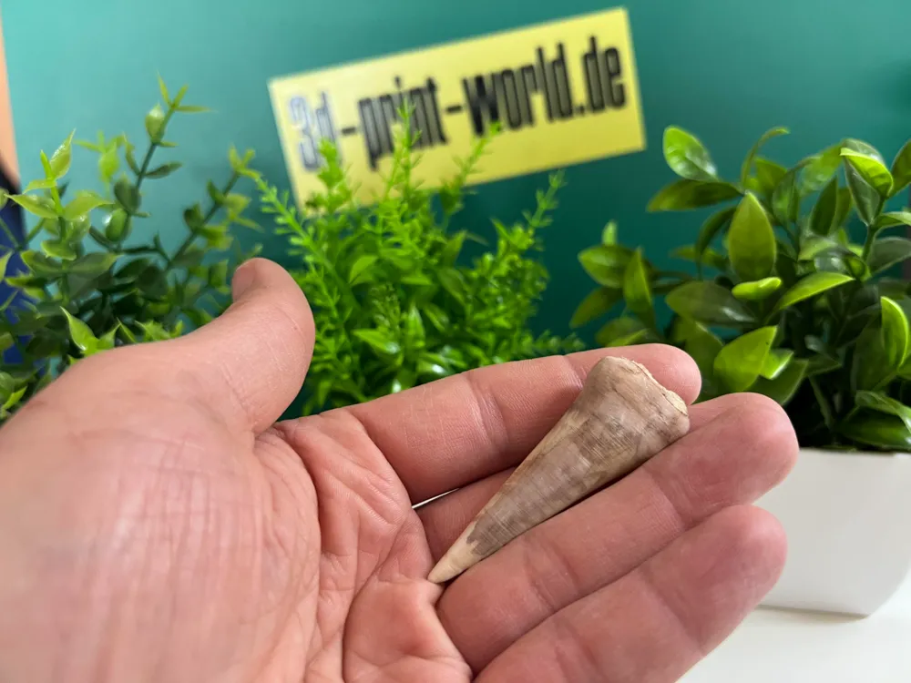 Sabre-Toothed Fish Tooth, a Prehistoric Predator by 3D-Print-World ...