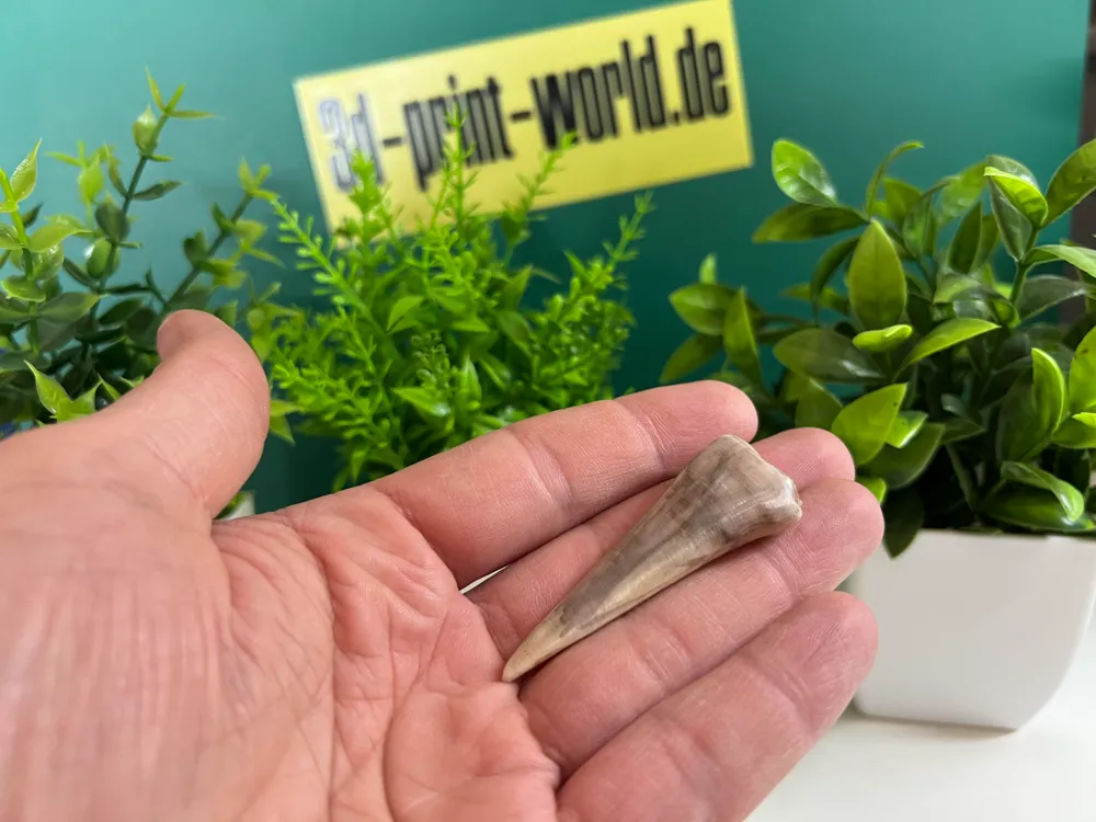 Sabre-Toothed Fish Tooth, a Prehistoric Predator by 3D-Print-World ...