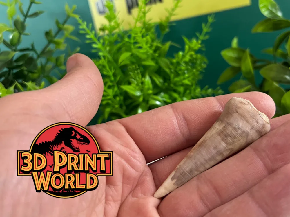 Sabre-Toothed Fish Tooth, a Prehistoric Predator by 3D-Print-World ...