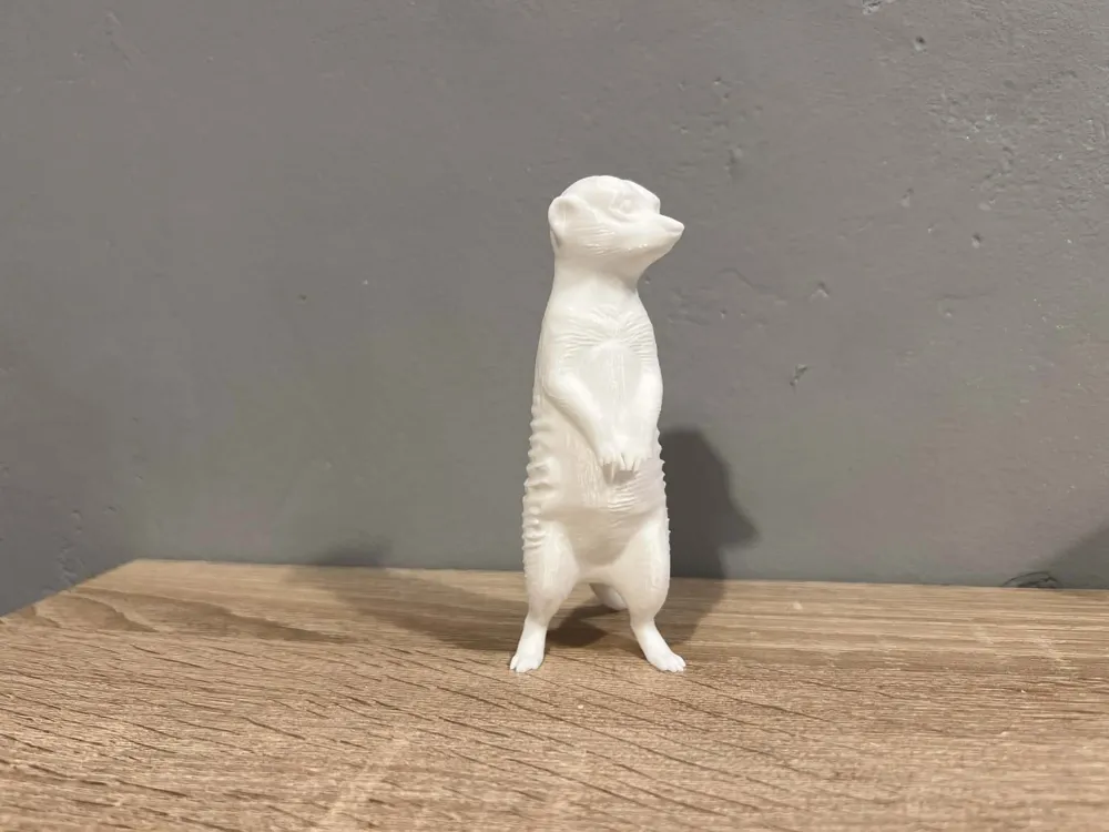 Meerkat / Surikata - Africa - Animal - Decor - Free 3D Print Model ...