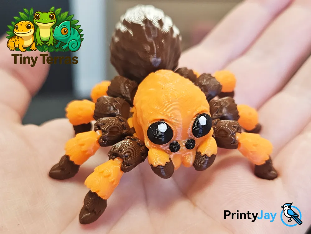 Mexican Redknee Tarantula – Tiny, Fuzzy, Poseable! - Free 3D Print ...