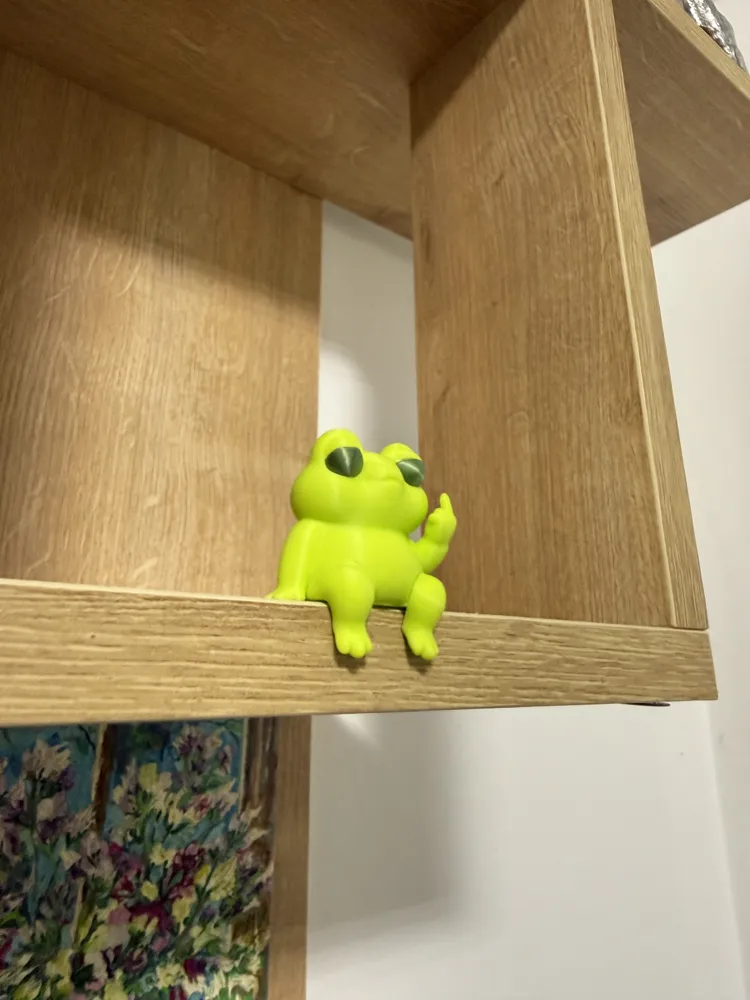 Shelf Buddy — The Rude Frog - Multi Part noAMS - Free 3D Print Model ...