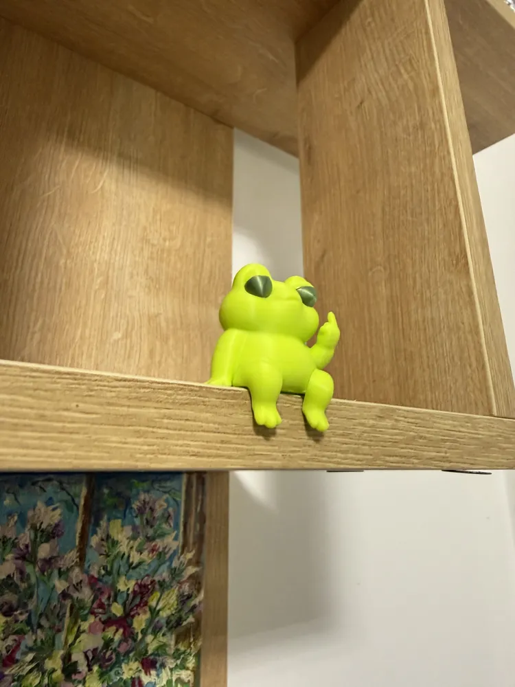Shelf Buddy — The Rude Frog - Multi Part noAMS by Evilian MakerWorld ...