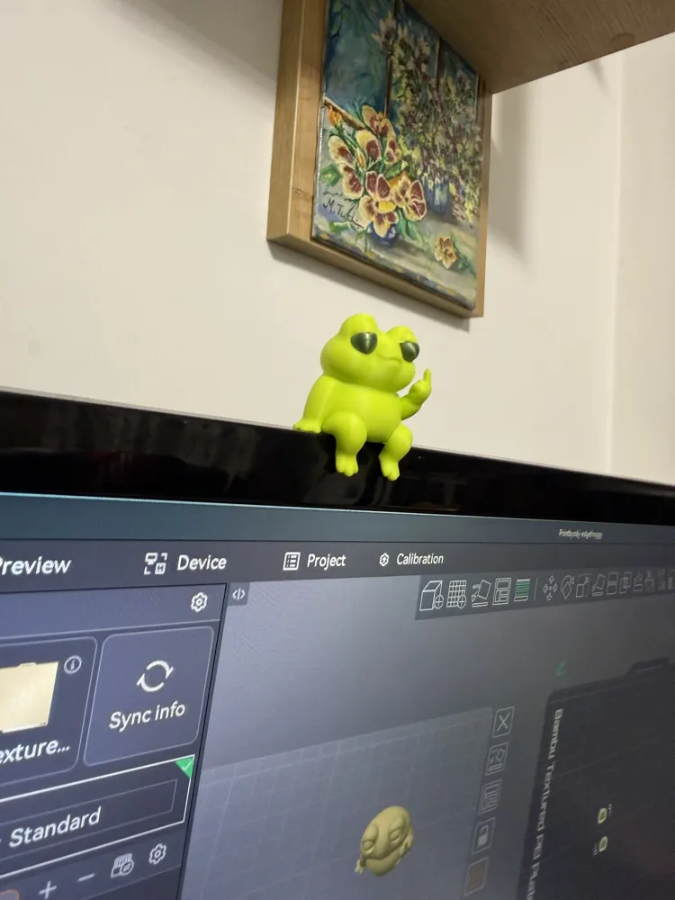 Shelf Buddy — The Rude Frog - Multi Part noAMS by Evilian MakerWorld ...
