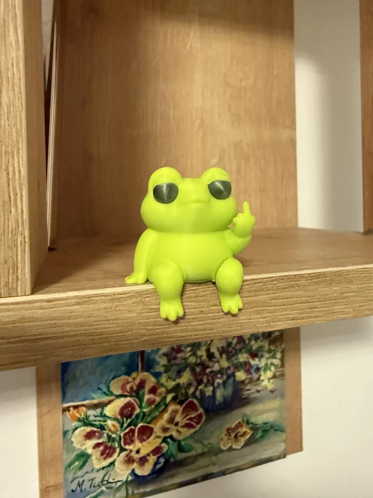 Shelf Buddy — The Rude Frog - Multi Part noAMS - Free 3D Print Model ...