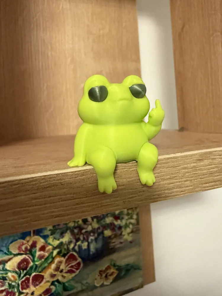Shelf Buddy — The Rude Frog - Multi Part noAMS - Free 3D Print Model ...