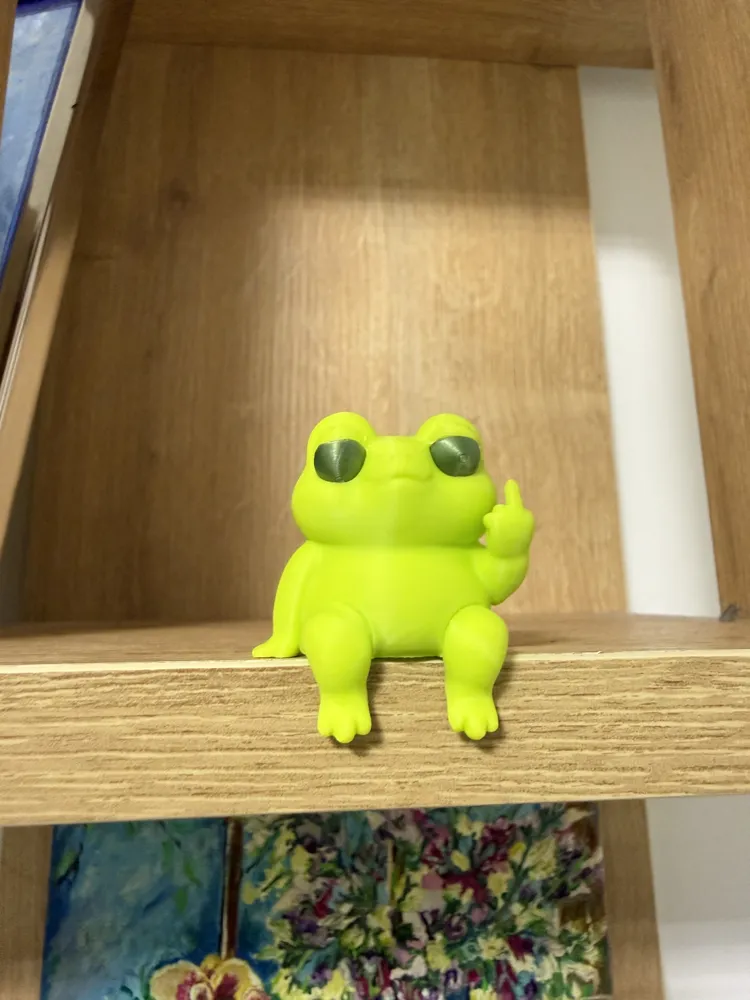 Shelf Buddy — The Rude Frog - Multi Part noAMS by Evilian MakerWorld ...