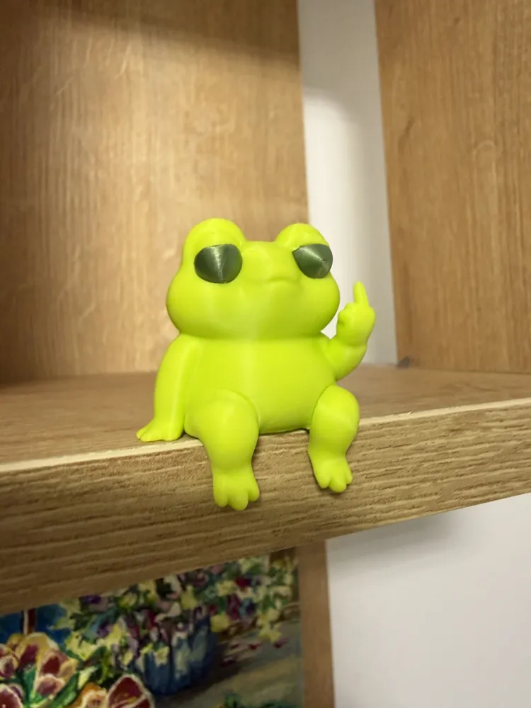 Shelf Buddy — The Rude Frog - Multi Part noAMS - Free 3D Print Model ...