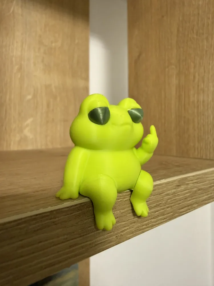 Shelf Buddy — The Rude Frog - Multi Part noAMS - Free 3D Print Model ...