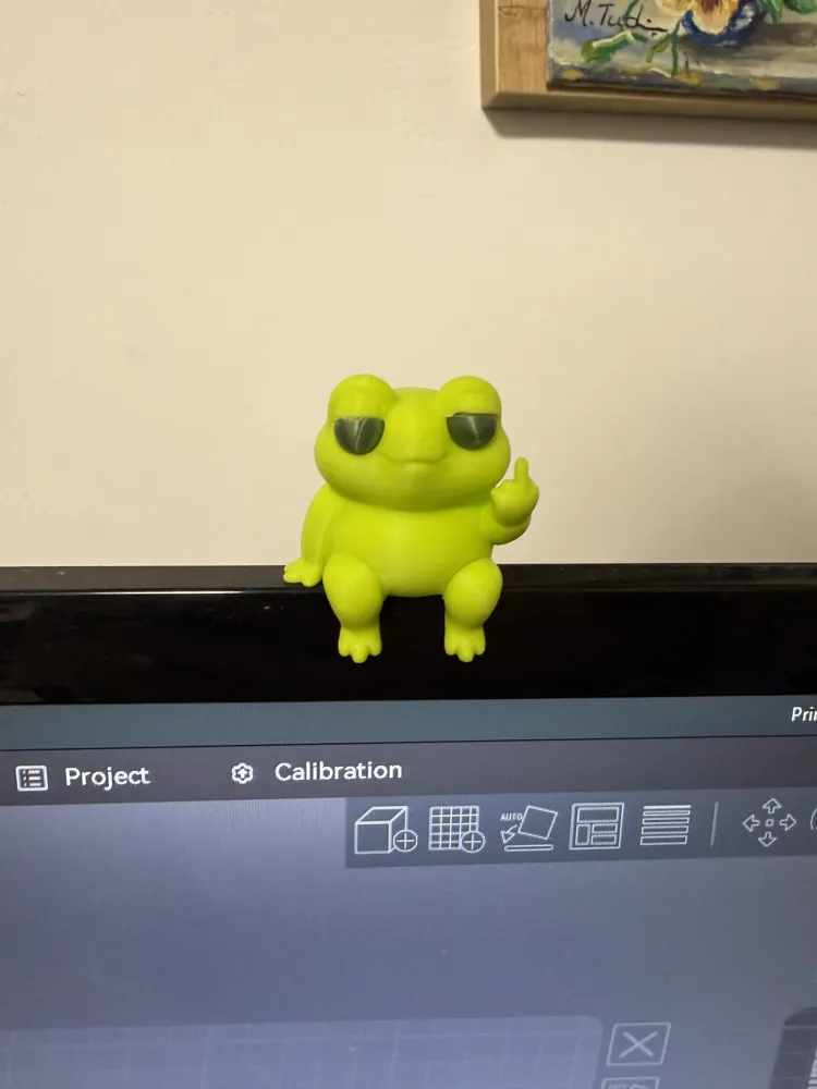 Shelf Buddy — The Rude Frog - Multi Part noAMS - Free 3D Print Model ...