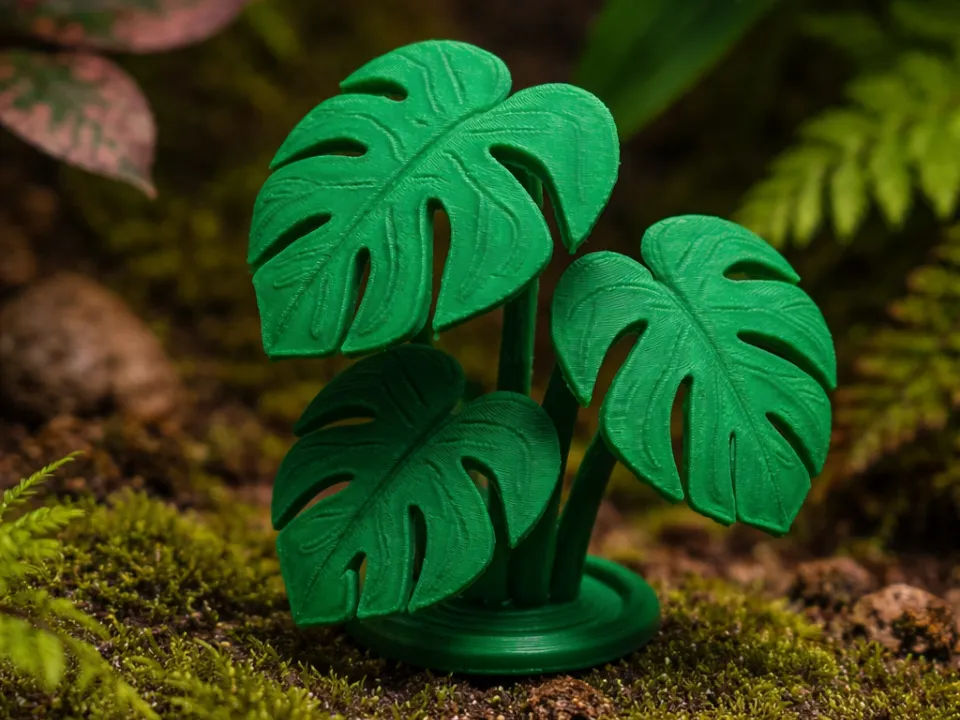 Monstera Leaf Cluster – Tropical Terrarium Plant - Free 3D Print Model ...