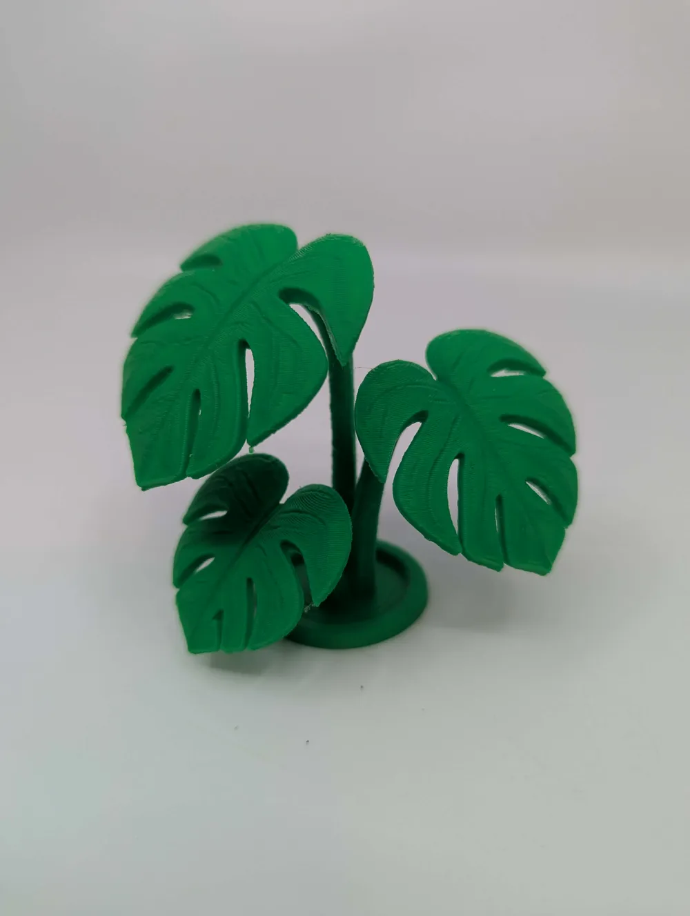 Monstera Leaf Cluster – Tropical Terrarium Plant - Free 3D Print Model ...