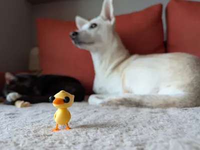 REPO Pato (Depredador ápice) por DanishFishMakerWorld: Descarga Modelos ...