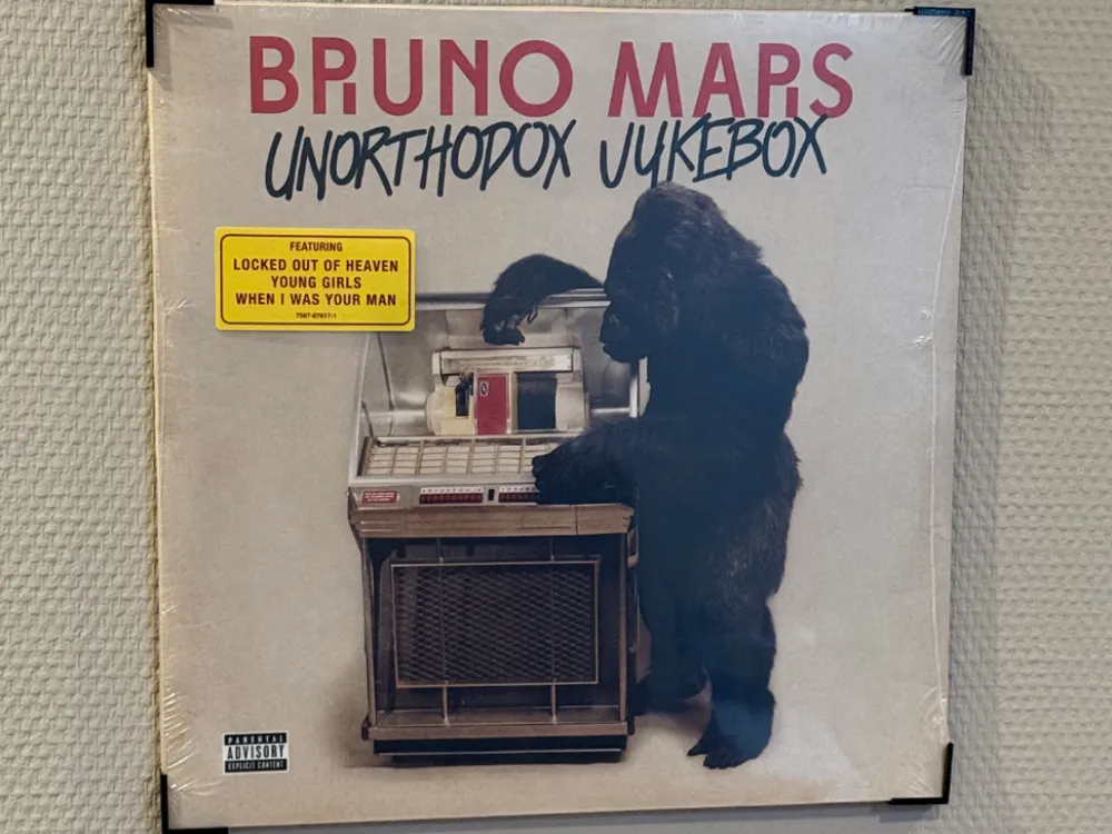 Minimal Vinyl Sleeve Wall Mount - Free 3D Print Model - MakerWorld