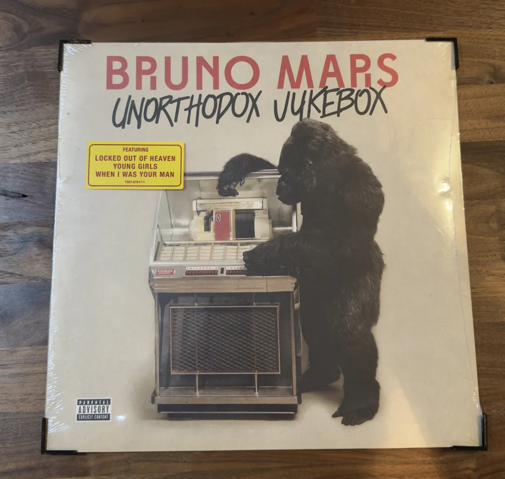 Minimal Vinyl Sleeve Wall Mount - Free 3D Print Model - MakerWorld