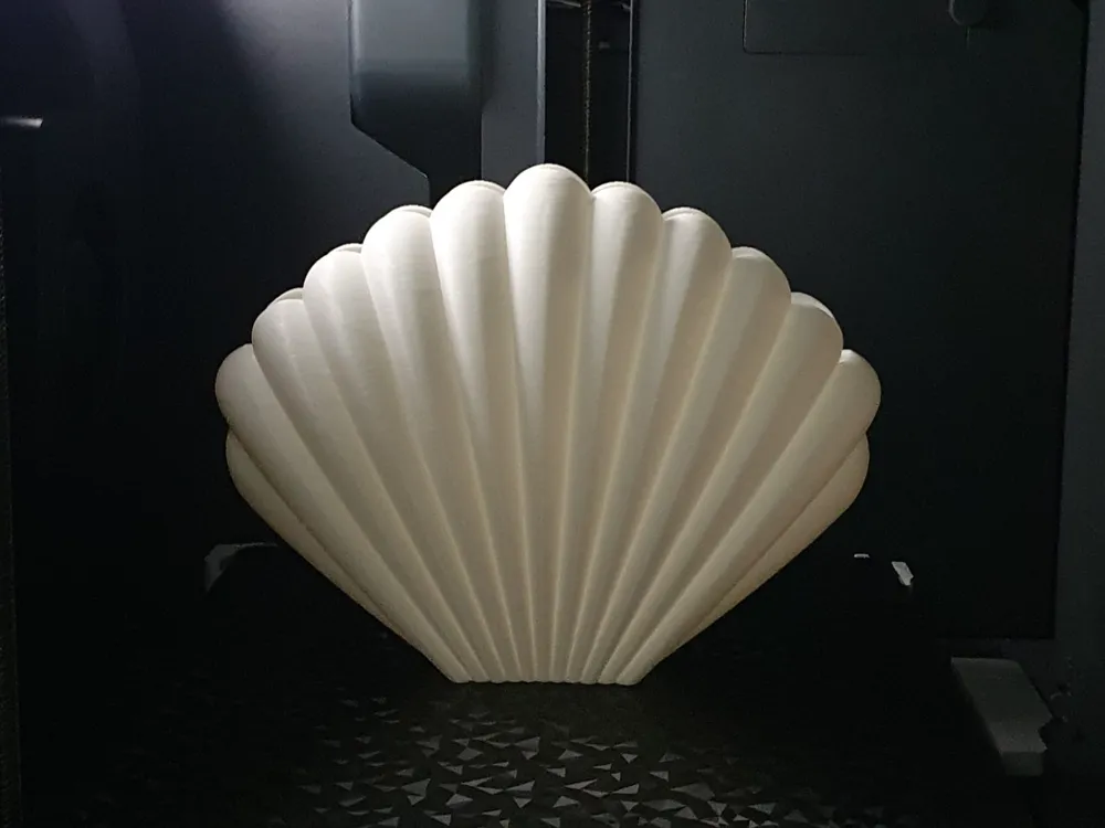 Sea Shell Vase - Free 3D Print Model - MakerWorld