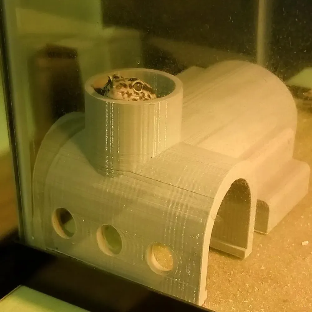 House Habitat Hide For Small Animals Remixed by Solid Bizz MakerWorld ...