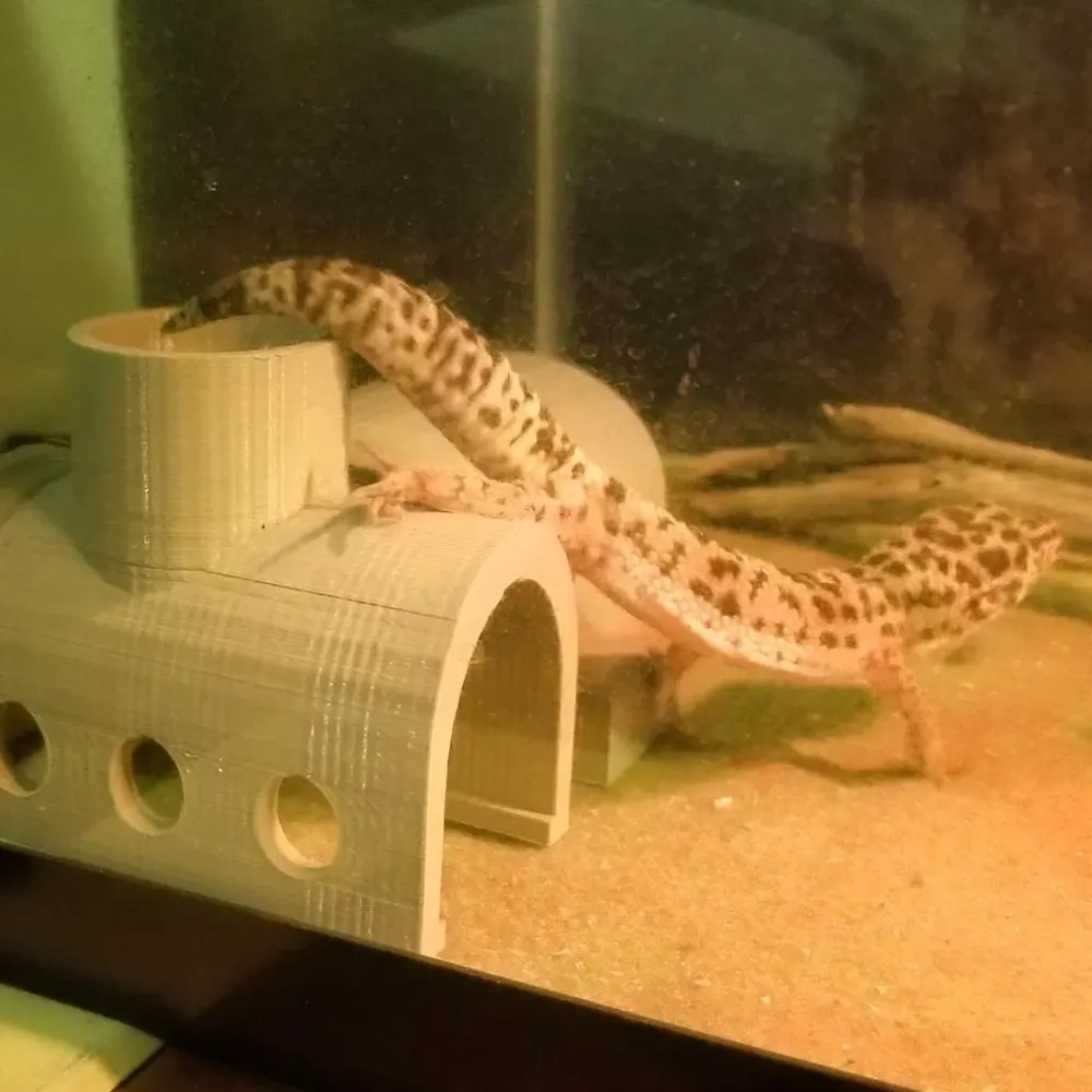 House Habitat Hide For Small Animals Remixed by Solid Bizz MakerWorld ...
