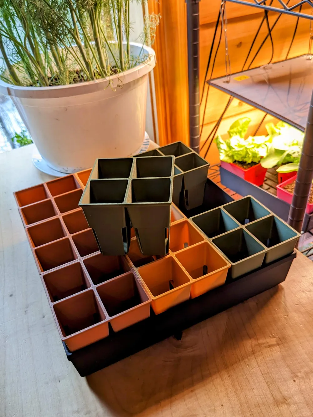 Modular, Reusable Seedling Pots Remixed by notanartist MakerWorld ...