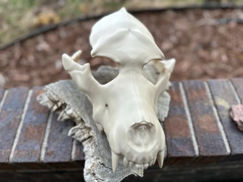 New Wolf Skull Mask - Free 3D Print Model - MakerWorld