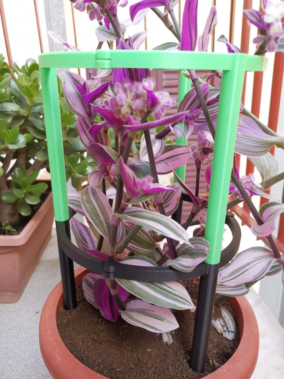 MODULAR PLANT SUPPORTS - Free 3D Print Model - MakerWorld