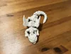 Articulated Dragon - Free 3D Print Model - MakerWorld