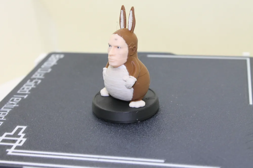 Rock the Chungus Multicolor Remixed by wollip - MakerWorld
