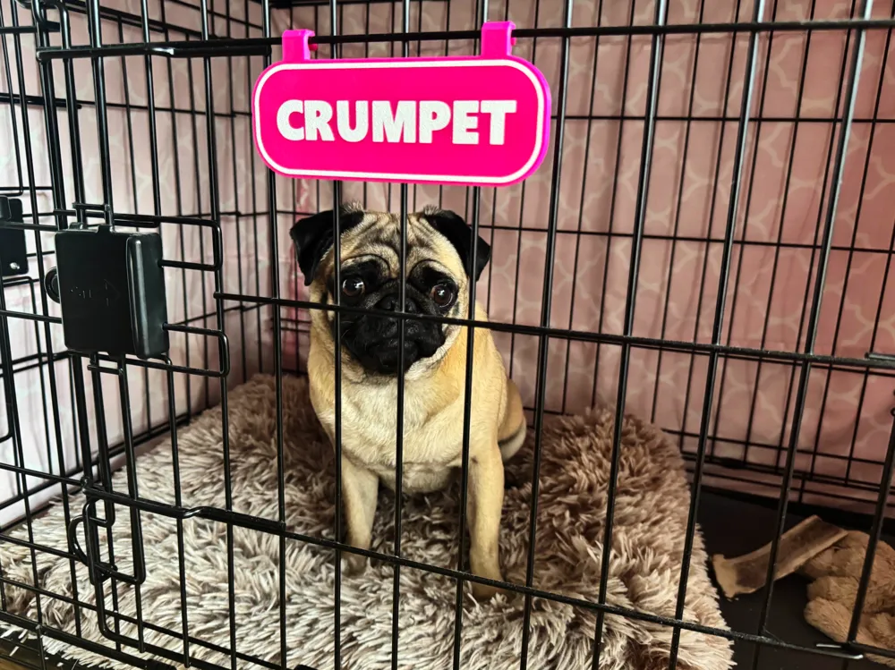 Customizable, Simple dog crate name sign - Free 3D Print Model - MakerWorld