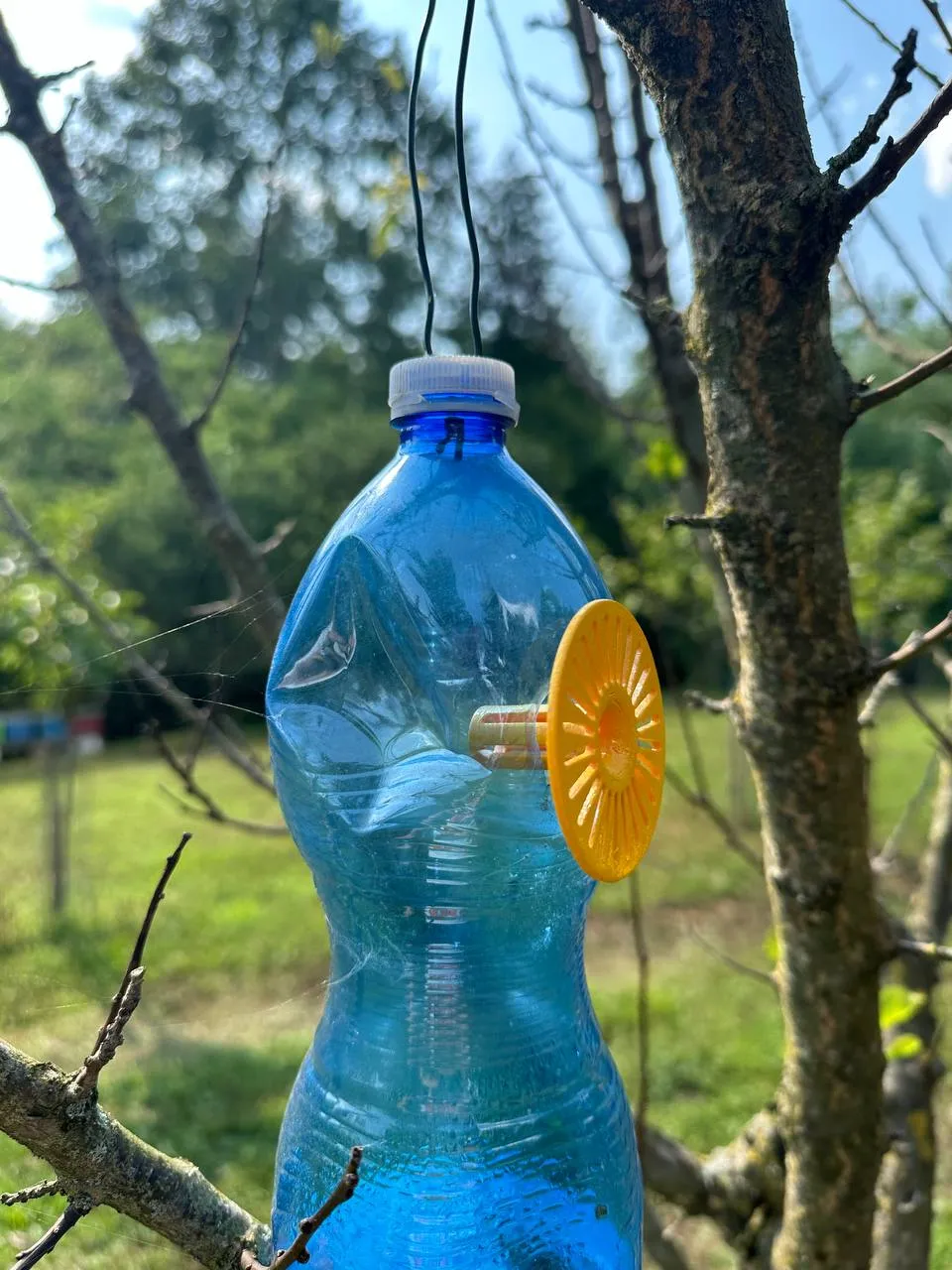 Quick Bottle Wasp Trap by casart.94 MakerWorld: Download Free 3D Models