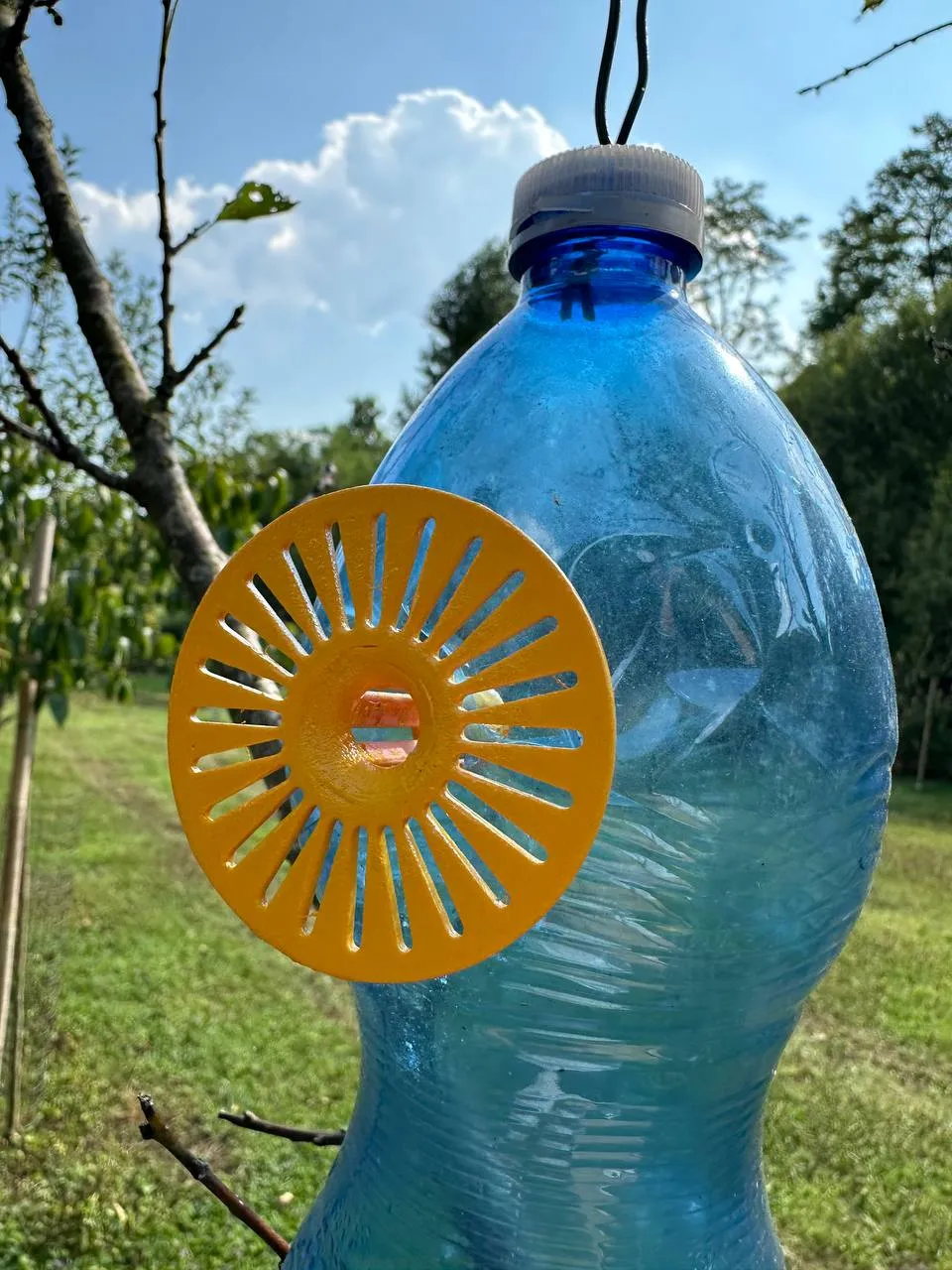 Bottle Wasp Trap by casart.94 - MakerWorld