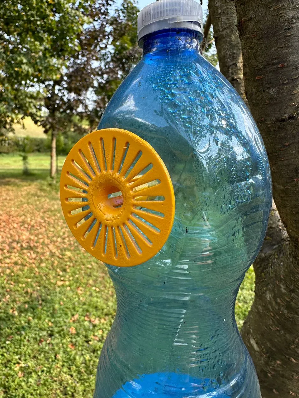 Quick Bottle Wasp Trap by casart.94 MakerWorld: Download Free 3D Models