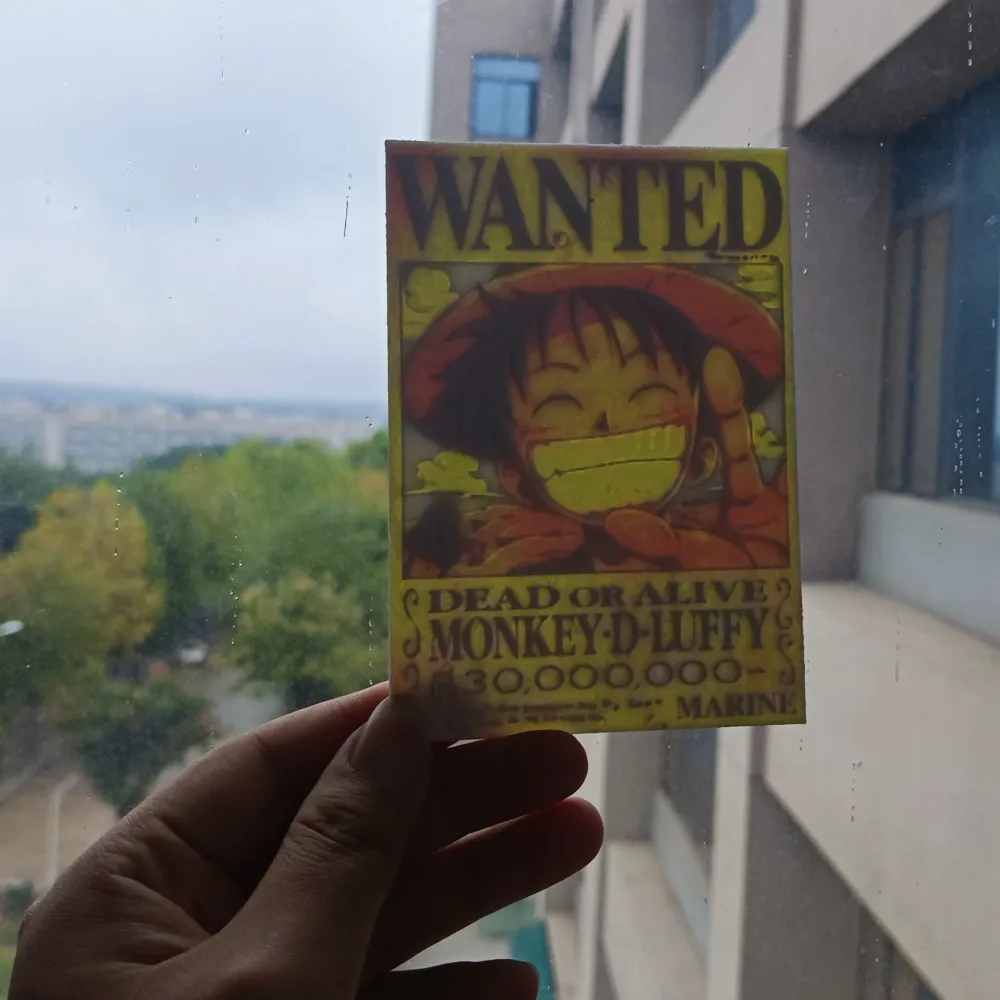 Color embossed photo of One Piece Luffy's Bounty by 子衿 MakerWorld ...
