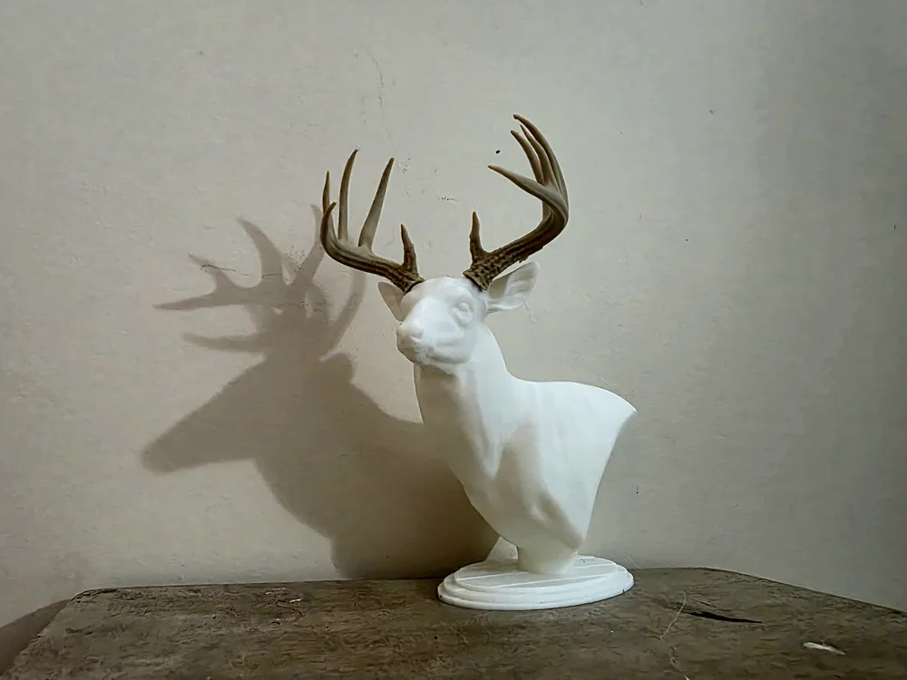 Mini Buck Deer Display - Modular Antlers - Free 3D Print Model - MakerWorld