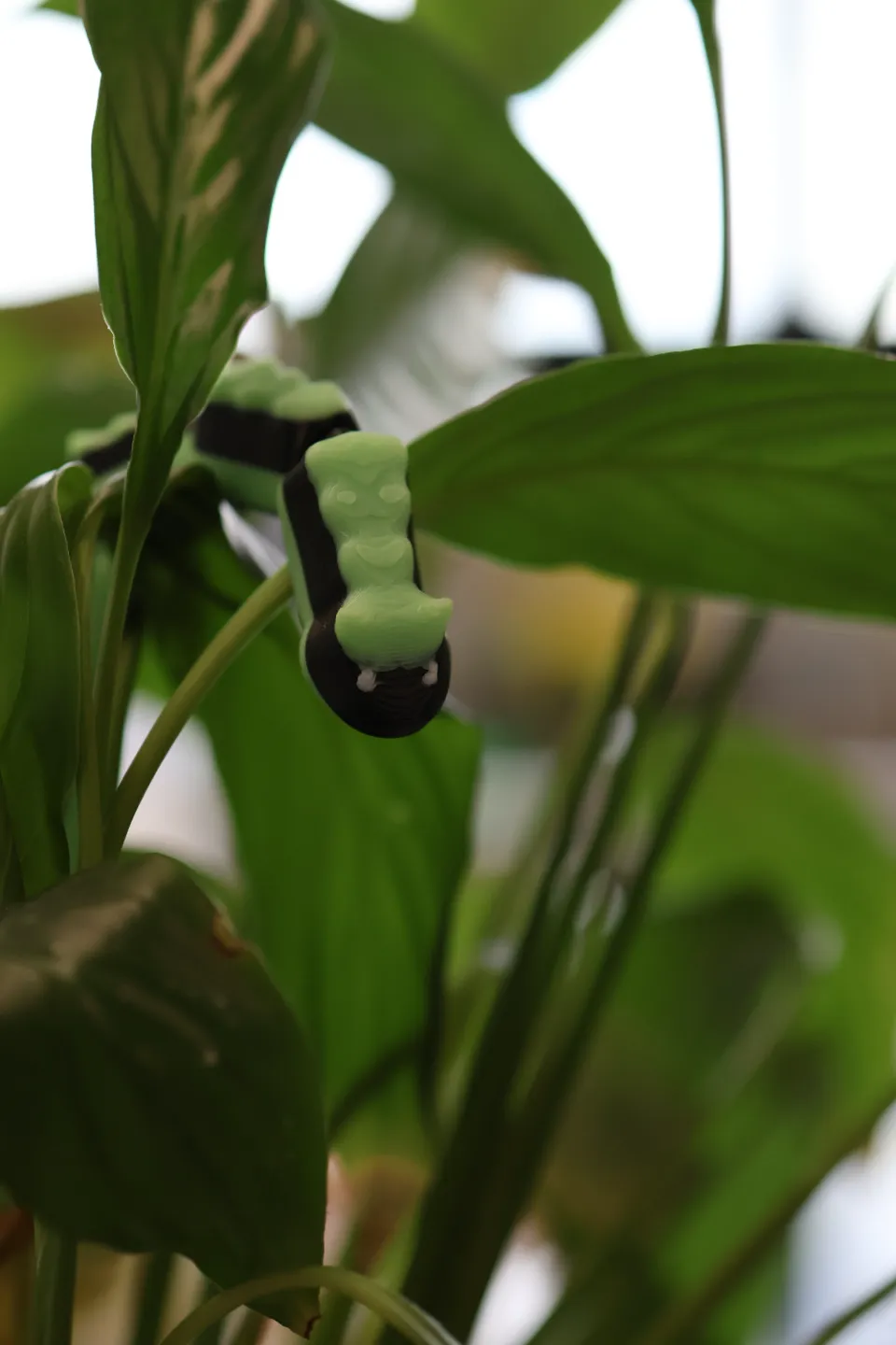 Articulated Drak Snake: 3hours - smooth for kids by loucas_pitt ...