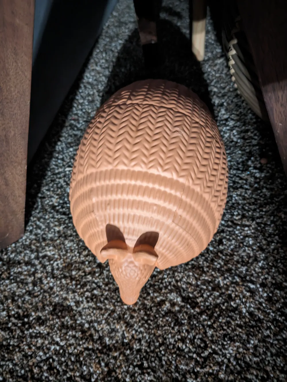 Texas Armadillos by detwiler.brian - MakerWorld