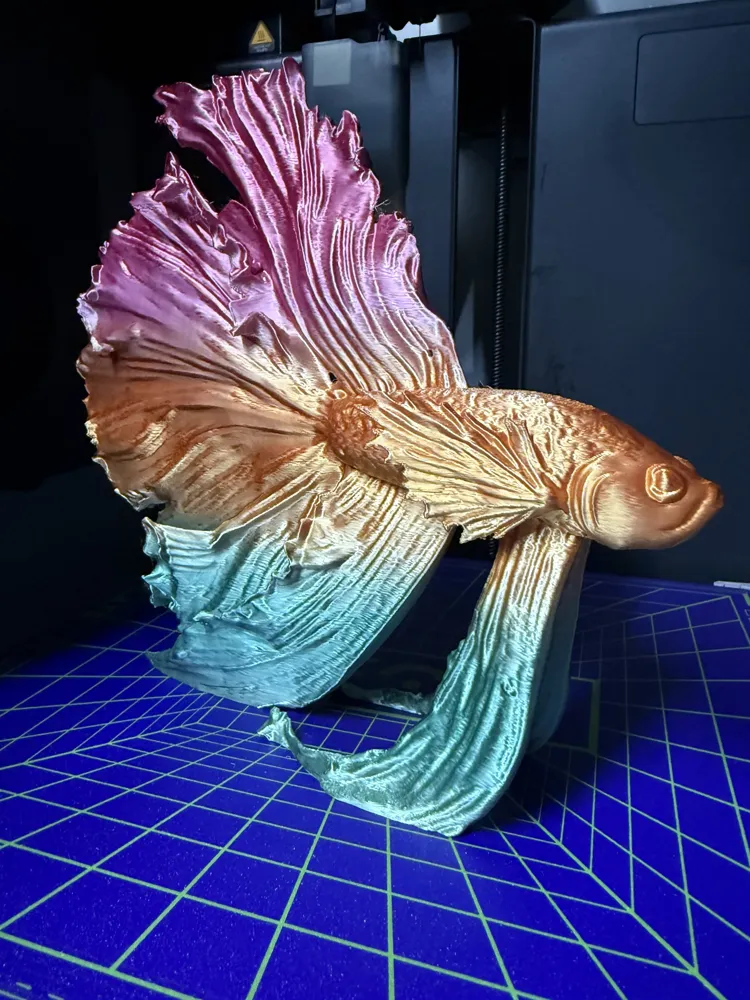 Betta Fish (Betta) Sculpture - Free 3D Print Model - MakerWorld