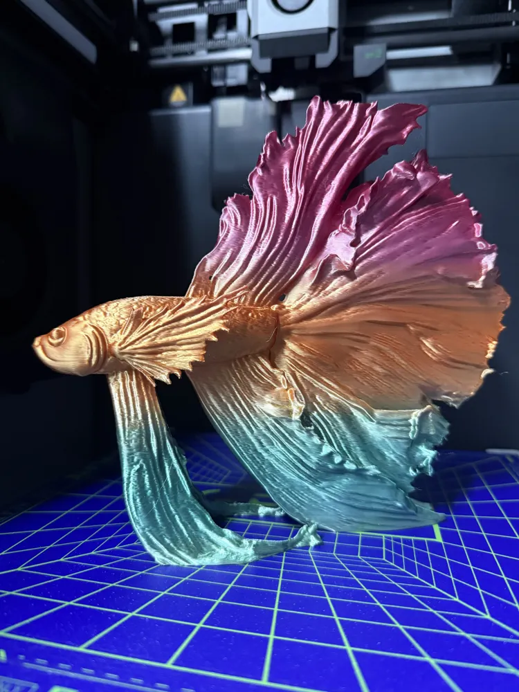 Betta Fish (Betta) Sculpture by Hammelwade MakerWorld: Download Free 3D ...