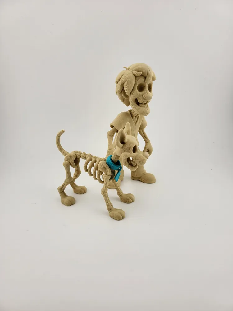 Scooby-Doo and Shaggy Skeleton Duo - Free 3D Print Model - MakerWorld
