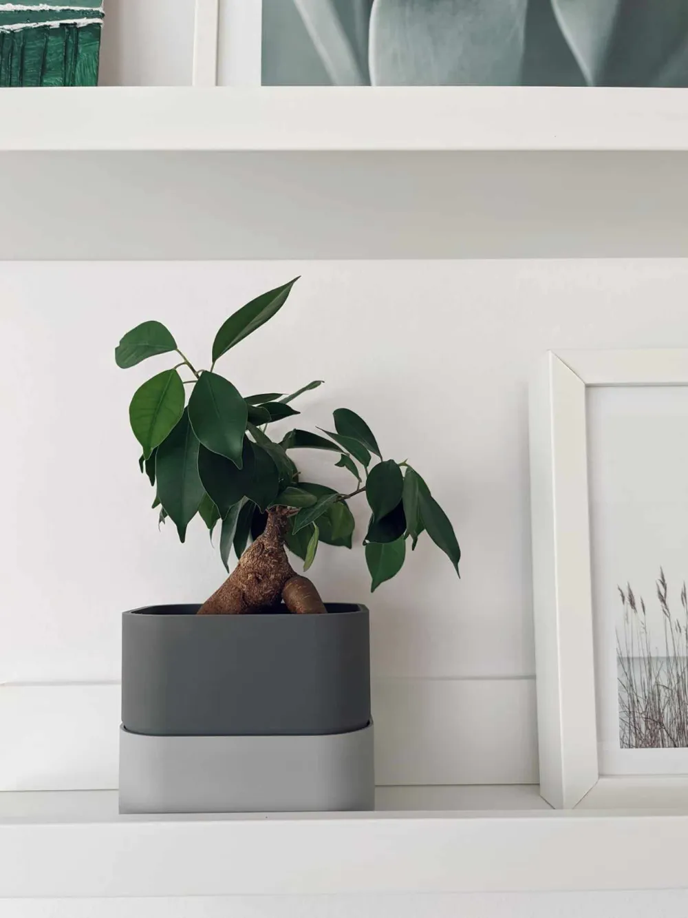 Minimalistic "half moon" pot for narrow shelves by shelby-eleanor ...