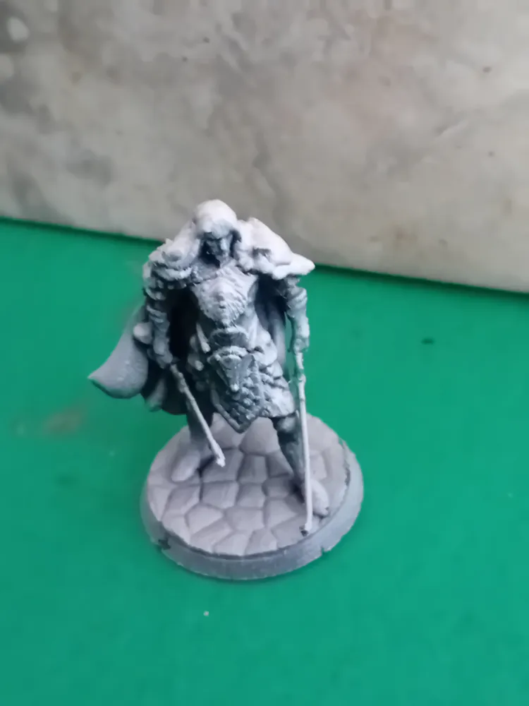 dnd-elf-fighter 2 swords elf warrior-dnd miniature by Satan ...