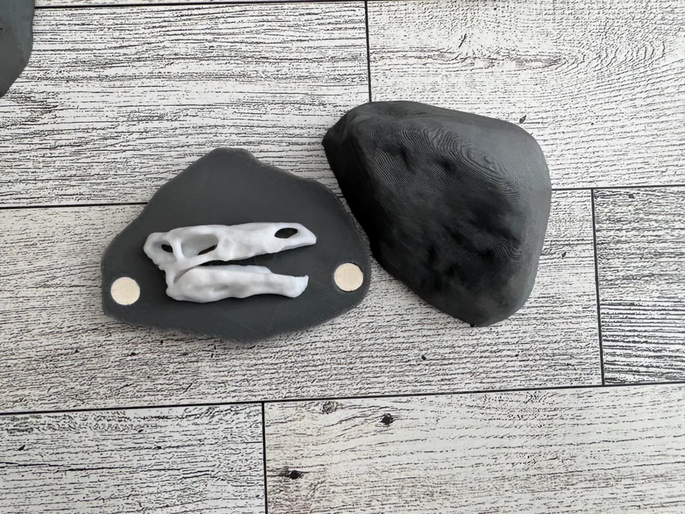 Dinosaur Fossil - Hide a Rocks by heyitscasie MakerWorld: Download Free ...