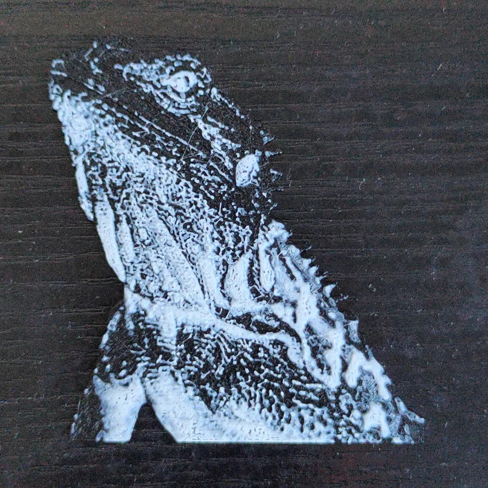 Lizard 2D, black and white by Łukasz Orłowski - MakerWorld