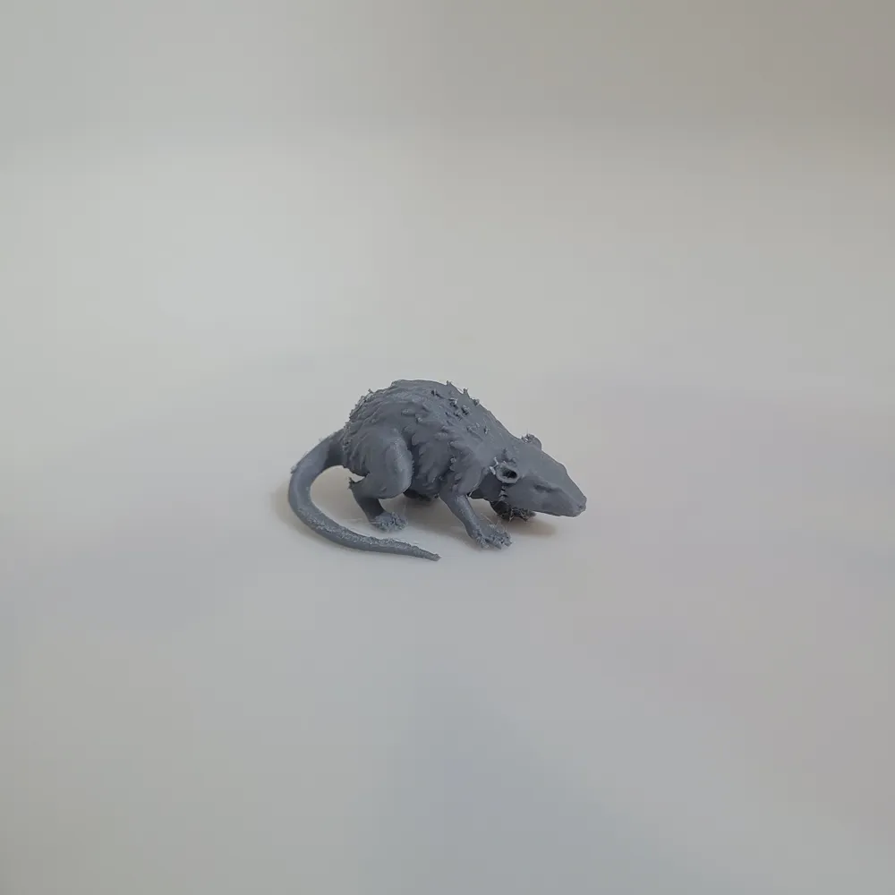 Giant Rat DND TableTop RPG by elletheconfused MakerWorld: Download Free ...