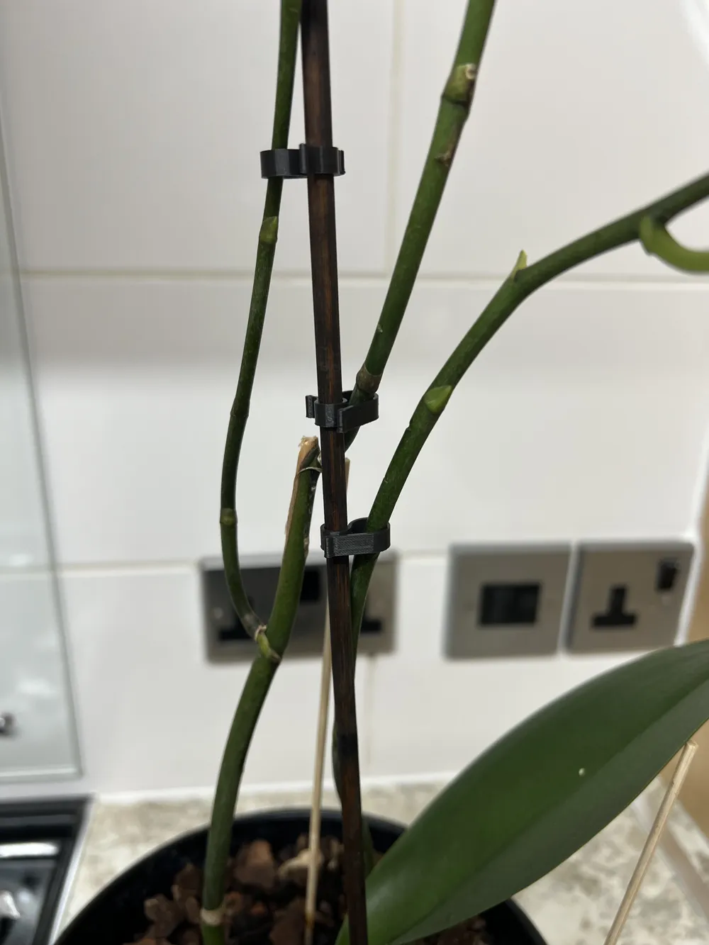 Plant Stem Support Clips for Orchids and More by UK_x - MakerWorld
