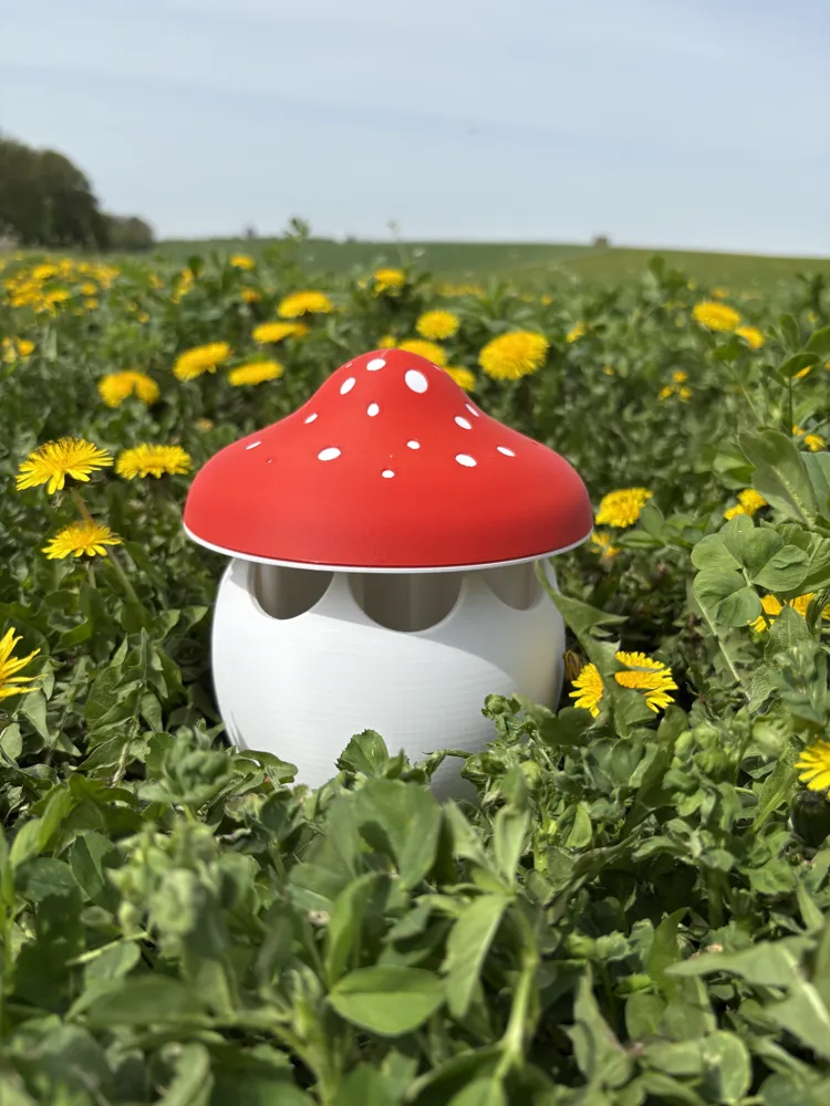 Fairy Tale Slug Trap by Mathy & Katy MakerWorld: Download Free 3D Models