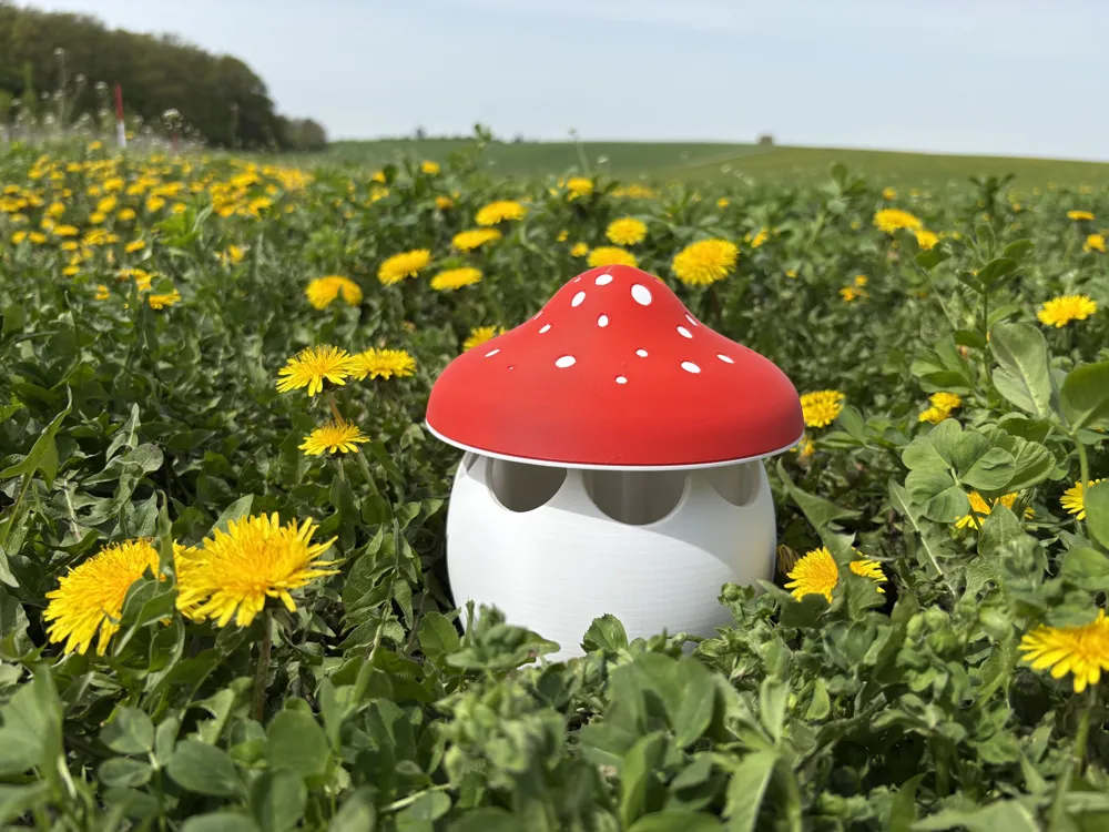 Fairy Tale Slug Trap by Mathy & Katy MakerWorld: Download Free 3D Models