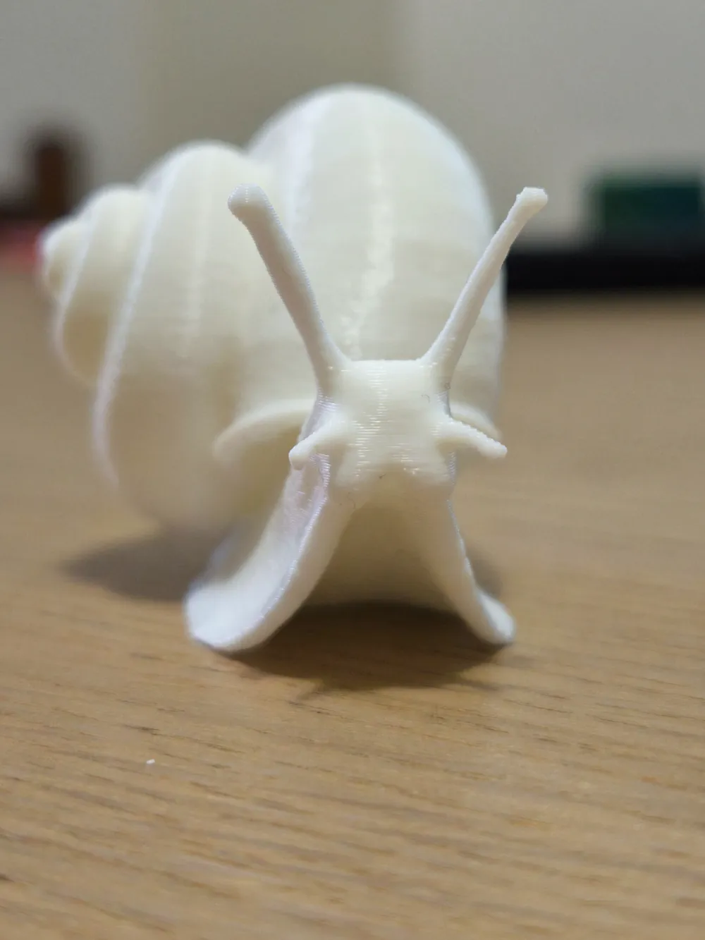 Realistic Snail by Creatività in 3D MakerWorld: Download Free 3D Models