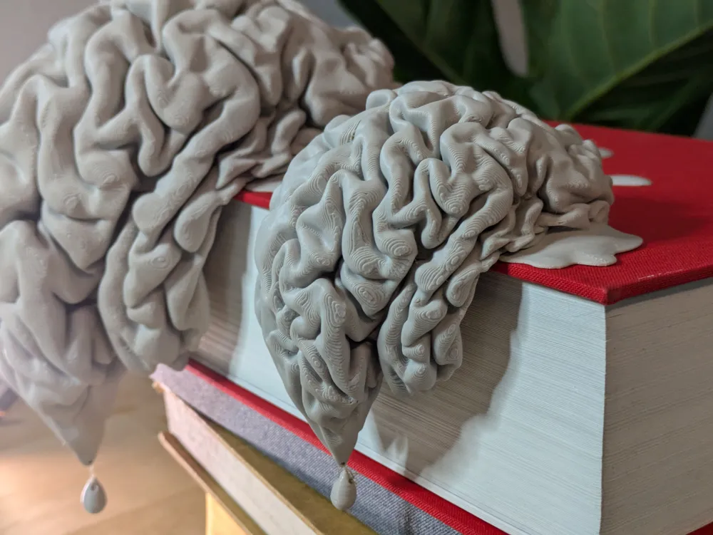 Melting Brain - Decoration for Classroom or Desk - Free 3D Print Model ...