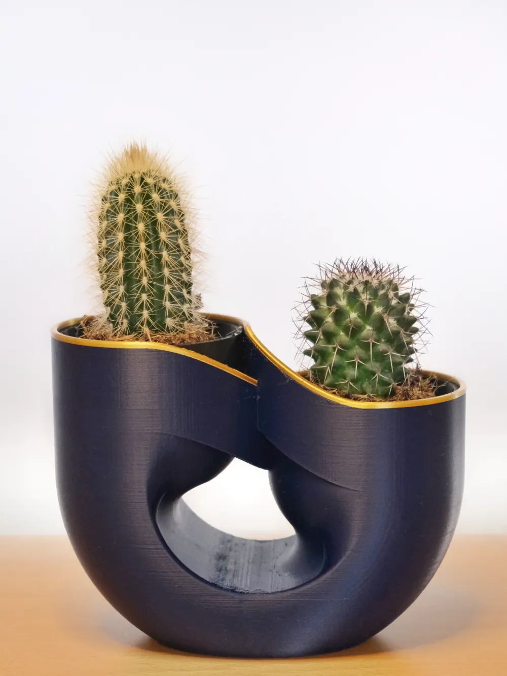 Infinity Bloom Planter by DjangoCashflow MakerWorld: Download Free 3D ...