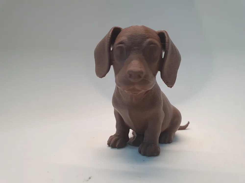 Cute Dackel Puppy by Staffbull_love MakerWorld: Download Free 3D Models